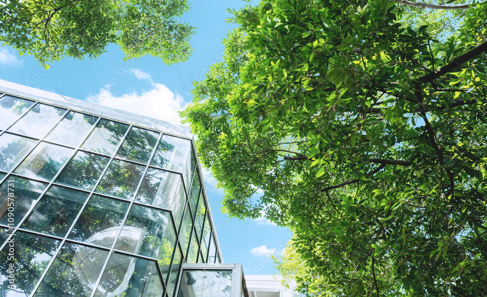 Modern glass office building with big trees around to reduce heat and ...