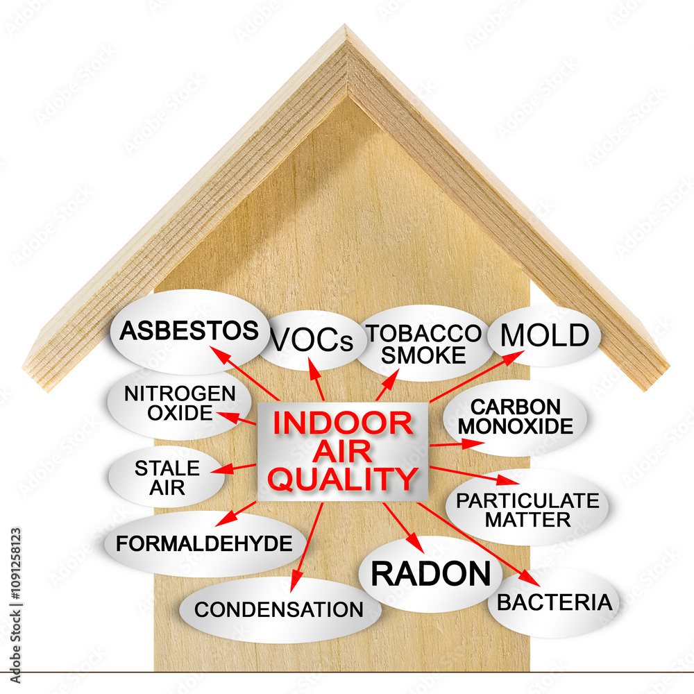 THE MOST COMMON DANGEROUS DOMESTIC POLLUTANTS WE CAN FIND IN OUR HOMES ...