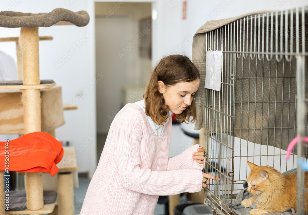 Positive caring tween girl visiting shelter for abandoned animals ...