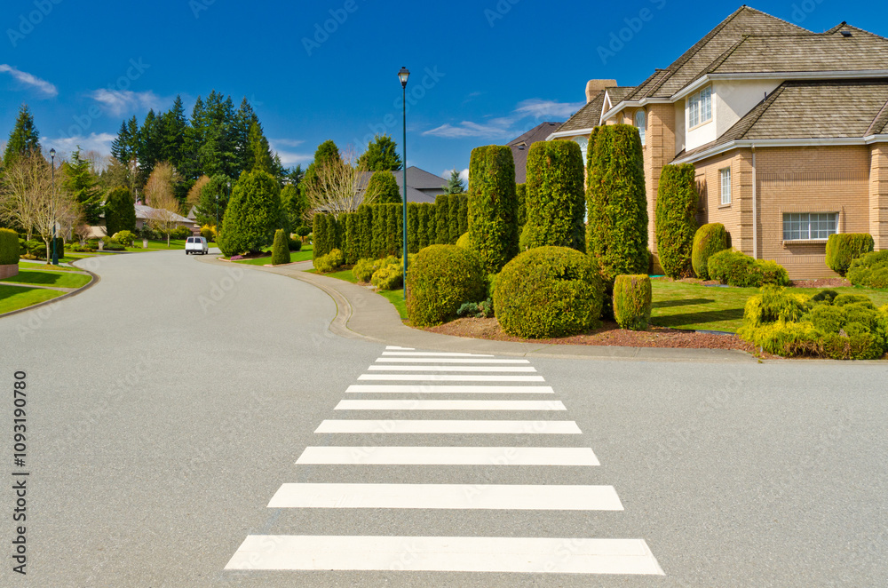Neighbourhood of luxury houses in summer with street road, big trees ...