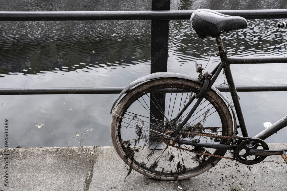 A neglected bicycle wheel rests by the edge of murky water, symbolizing ...