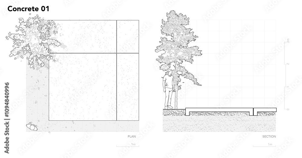 Architectural Drawings, Minimal style cad tree line drawing, Side view ...