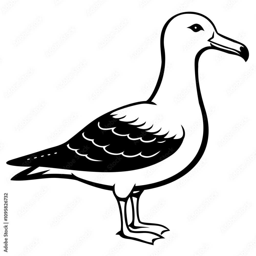 Albatross Birds Black Vector Silhouette, Vector outline, or Line art ...
