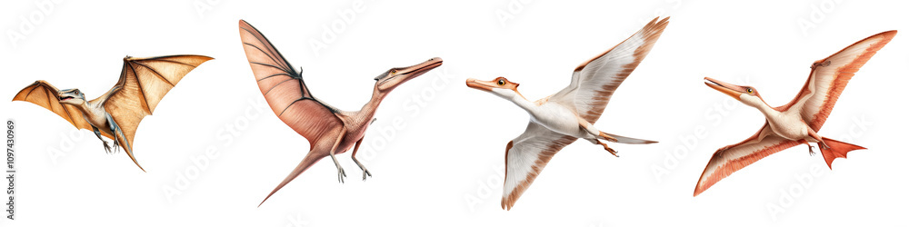 Foto de Stock dinosaur on Transparent Background concept. Four flying ...