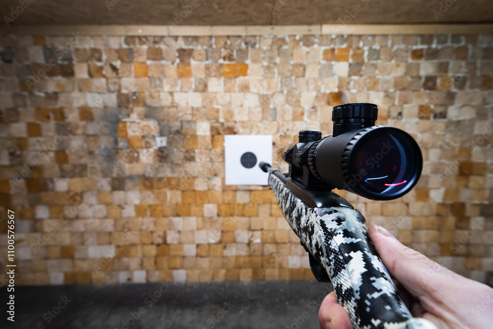 Shooting from a 22 LR rifle with a silencer and optical sight at a ...