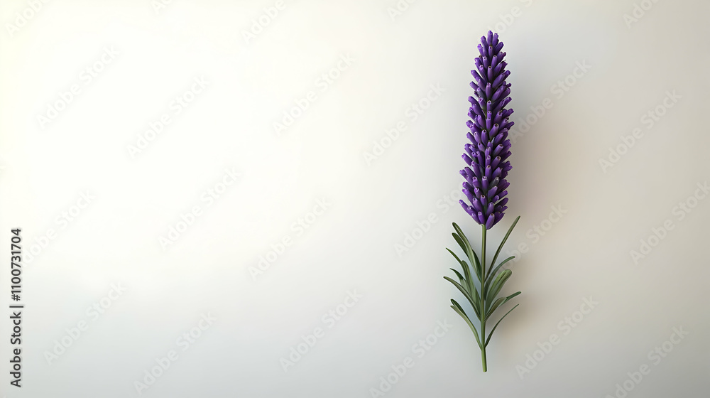 Stunning Lavender Bloom: Top 10 4K Ultra HD Background Animation Stock ...