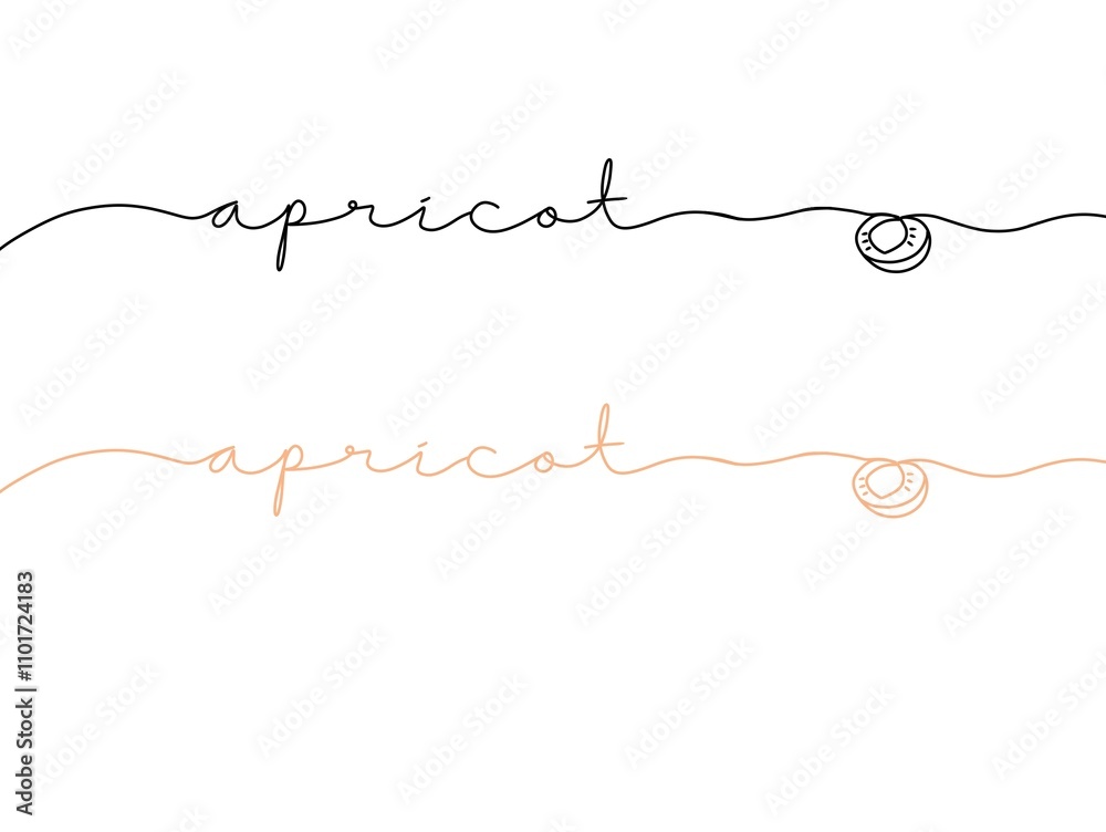 Apricot flavour monoline text. One line continuous concept Apricot ...