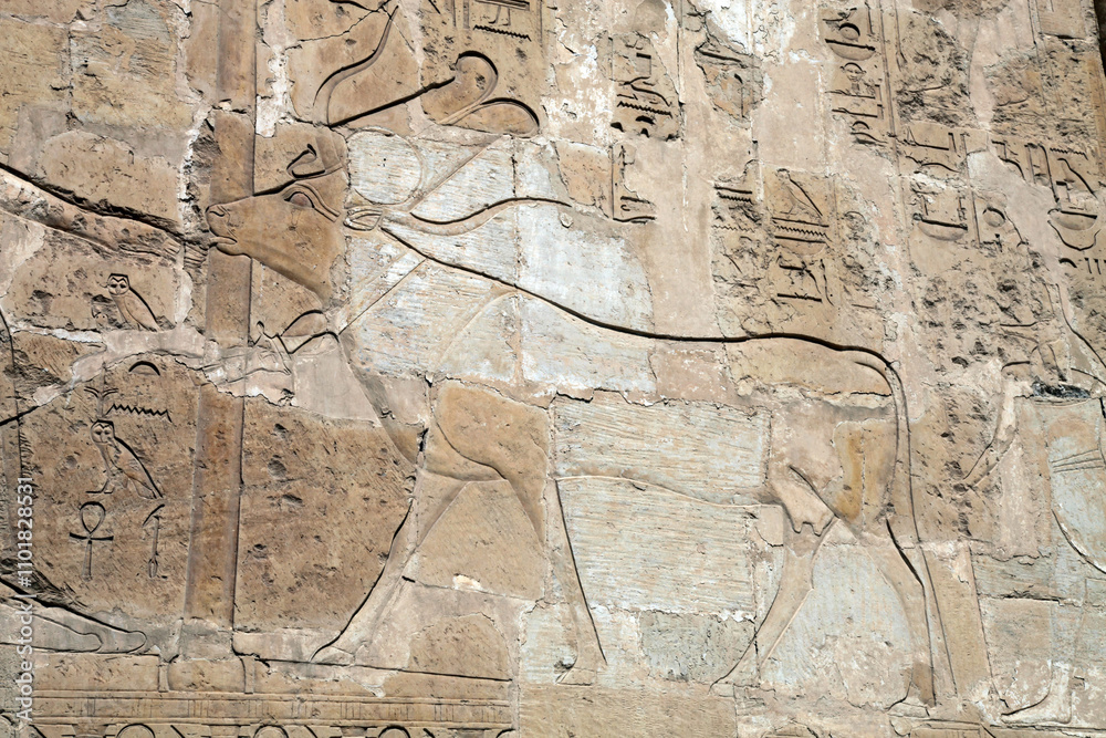 Wall relief of the goddess Hathor wearing the double plumed crown ...