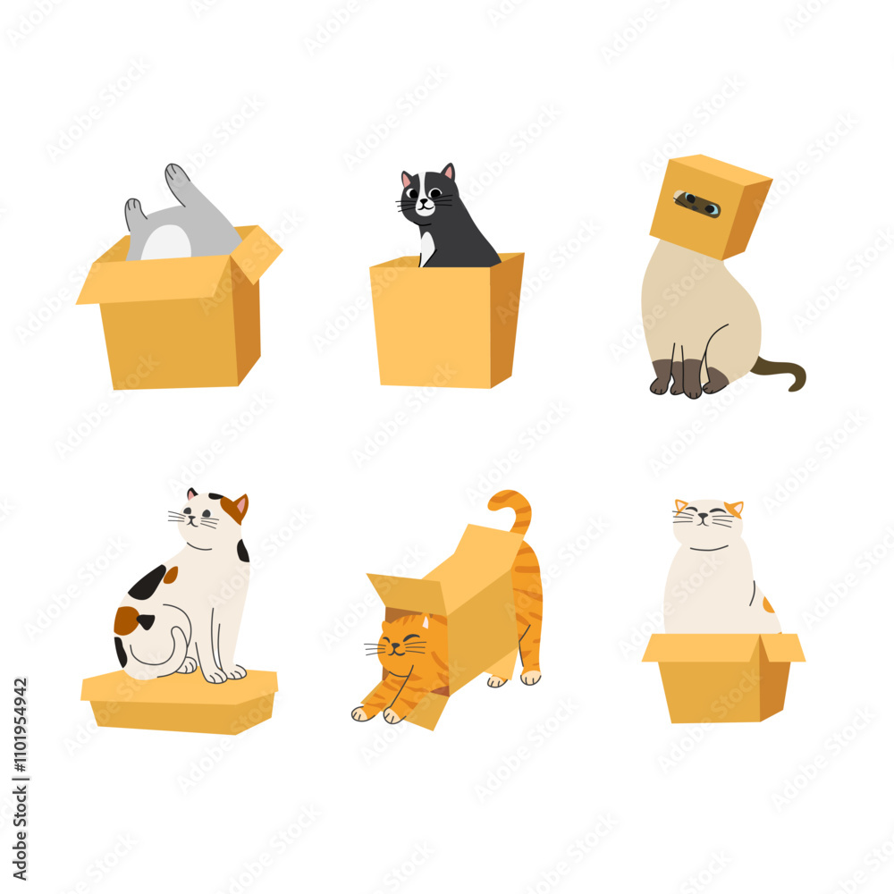 Bundle of Cute Cat in the Boxes in Multiple Position. Inside, Above ...