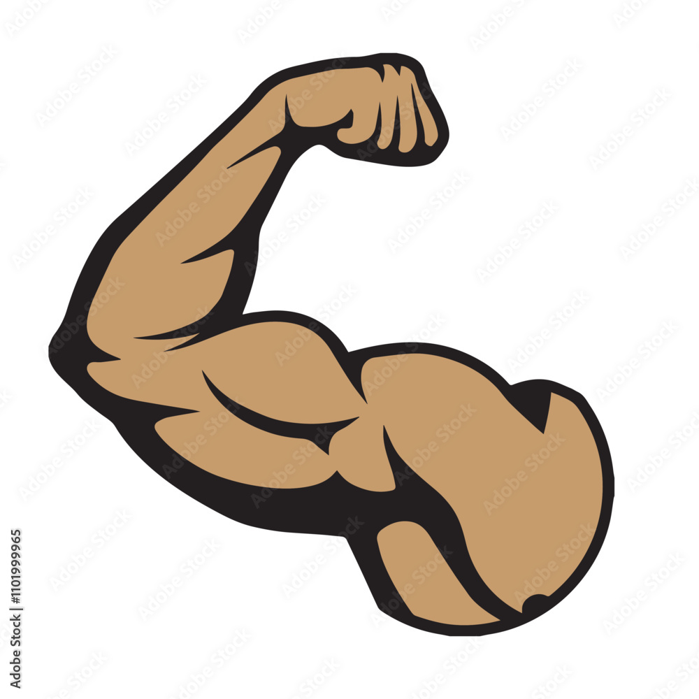 man with muscle illustration, Muscular system Skeletal muscle Human ...