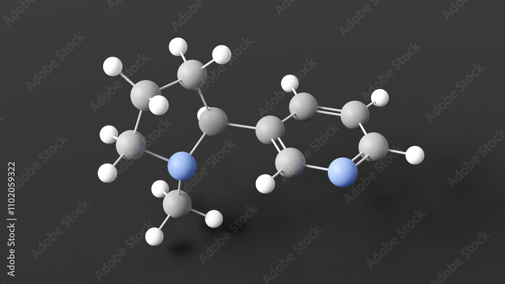 nicotine molecule 3d, molecular structure, ball and stick model ...