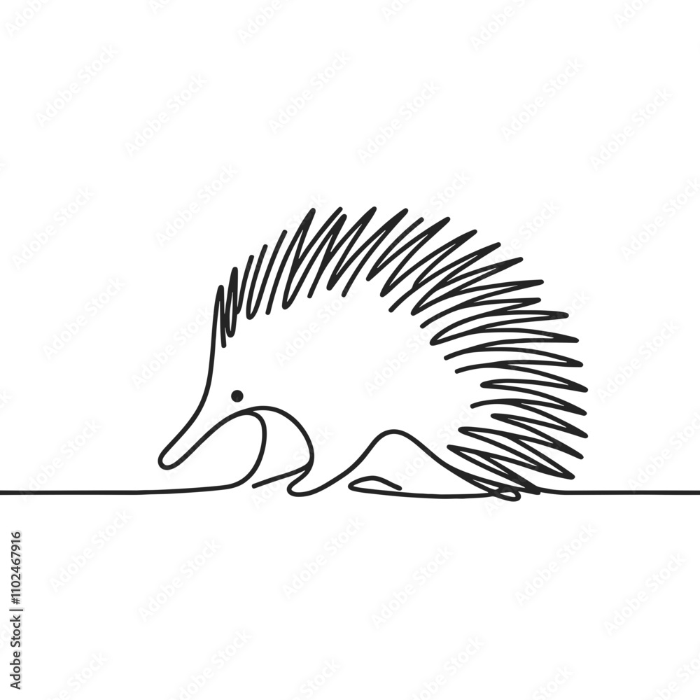 Echidna line art illustration on transparent background for Australia ...