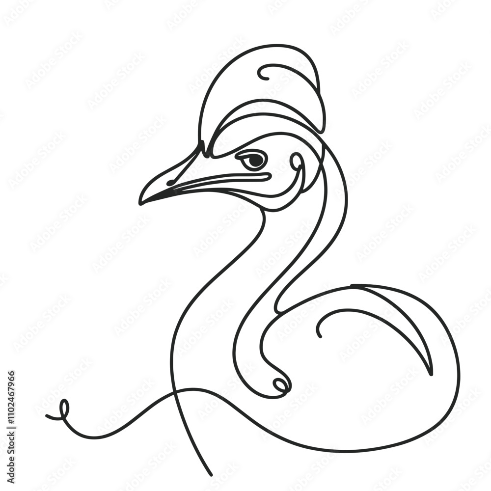 Cassowary line art illustration on transparent background for Australia ...