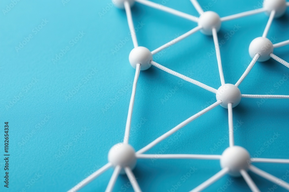 Organization structure and mission, A close-up of a white network ...