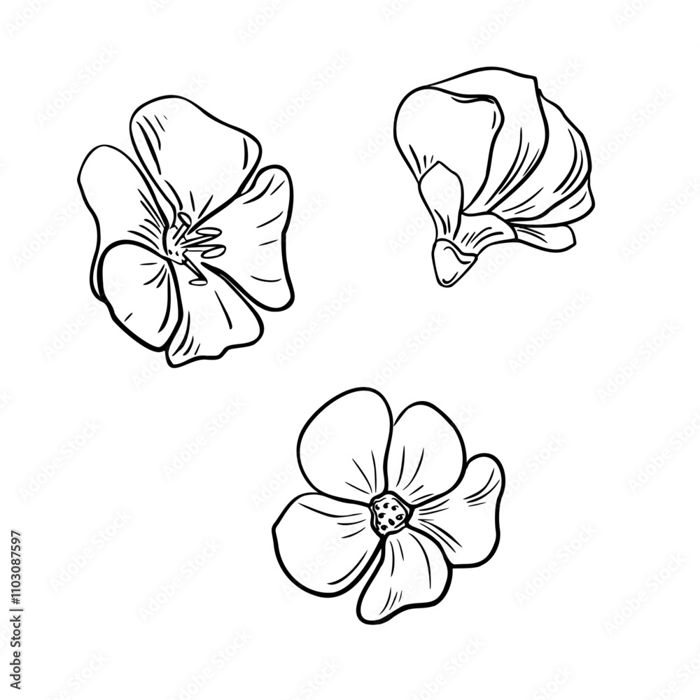 Flax flowers set black white vector illustration isolated. Linum ...