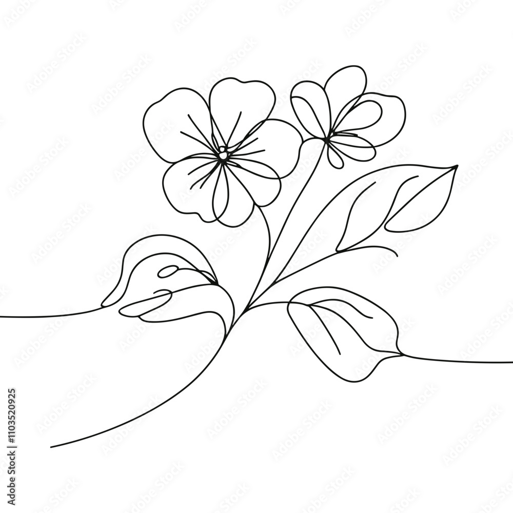 Native Violet flower outline drawing on a transparent background for ...