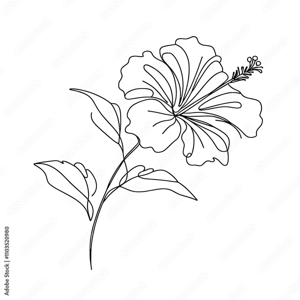 Native Hibiscus flower outline drawing on a transparent background for ...