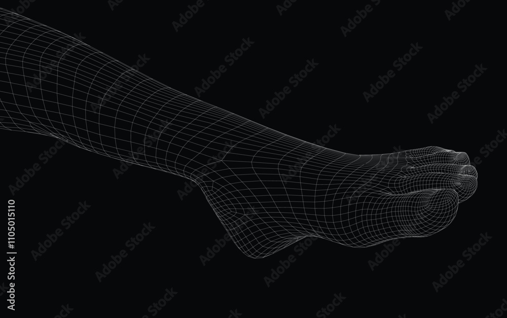 Human body parts. Foot wireframe vector. Stock Vector | Adobe Stock