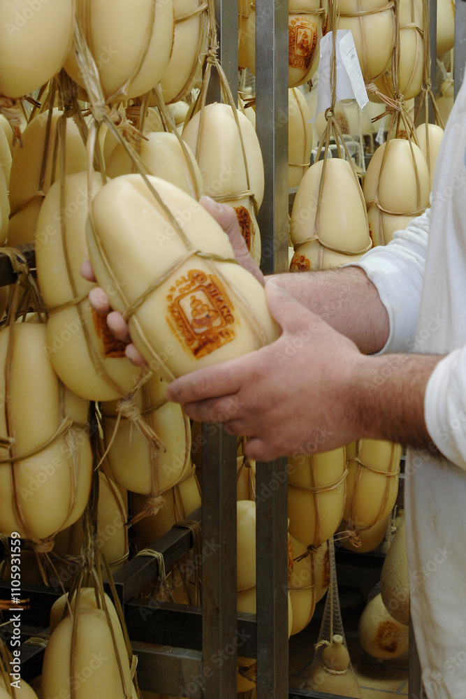 11/11/2023 Sila Calabria Italy. Silano DOP cheese is a typical cheese ...