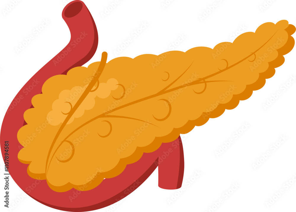 Medical illustration showing healthy human pancreas producing digestive ...