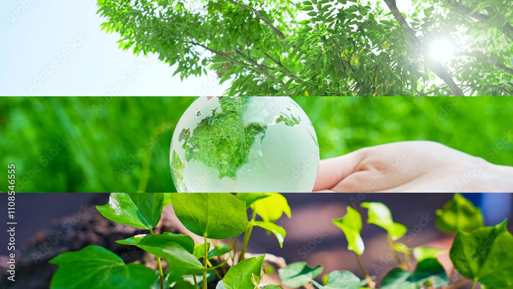plant, environment, ecology, earth, nature, sdgs, collage, fresh ...