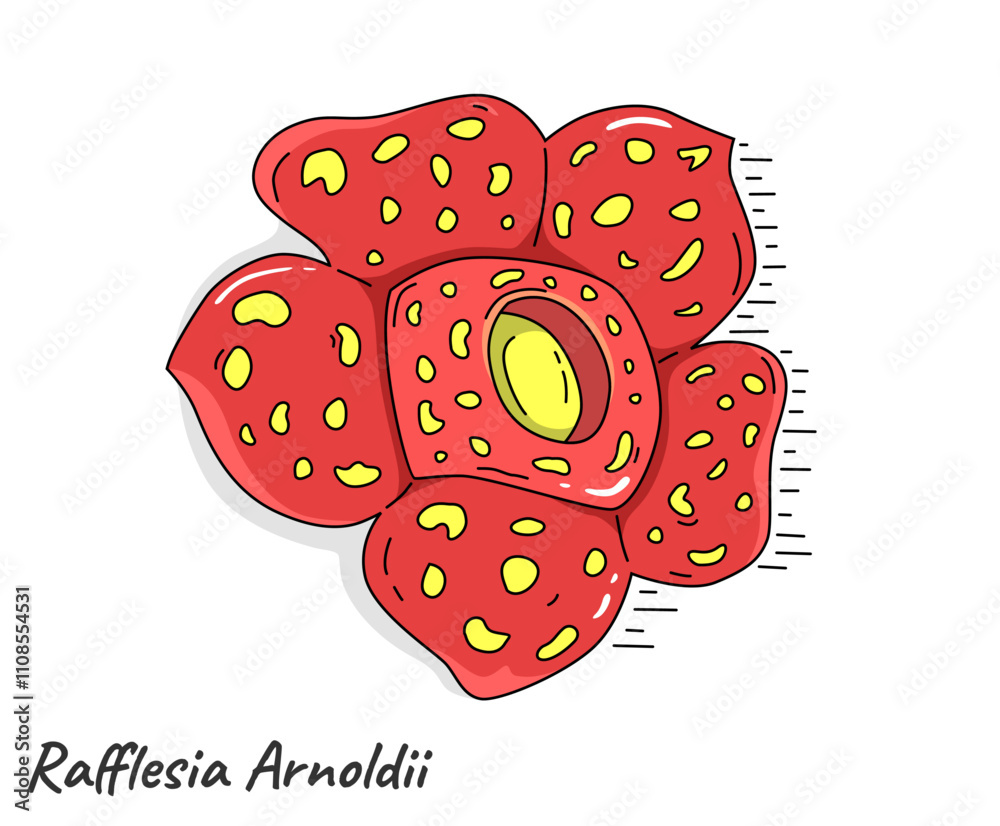 Rafflesia Arnoldii vector illustration Stock Vector | Adobe Stock