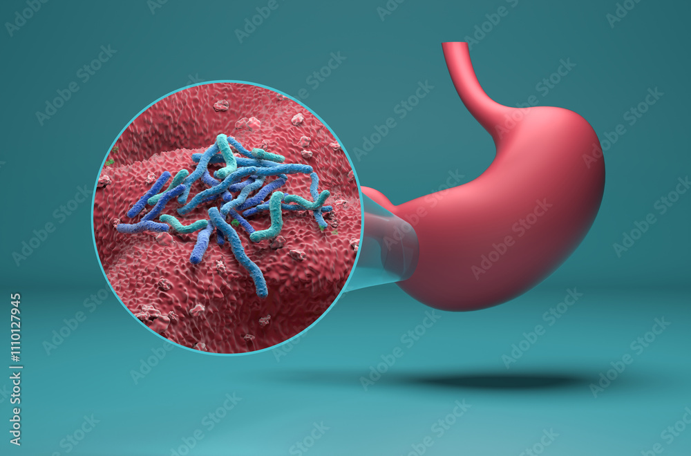 Helicobacter pylori bacteria - isometric view 3d illustration Stock ...