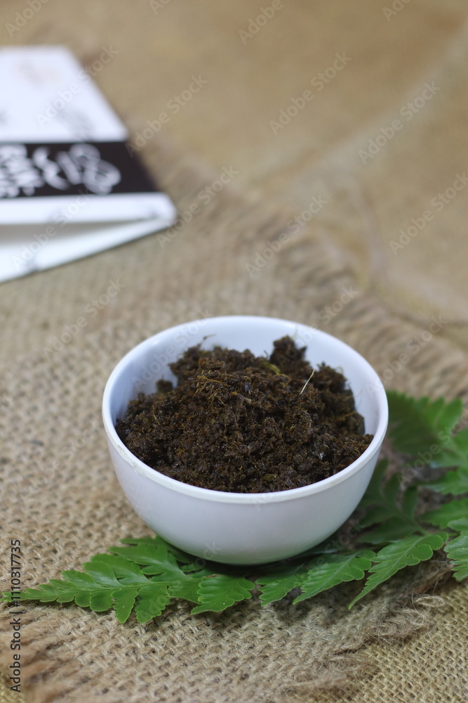 Rendang Paku is one of traditional from West Sumatera Indonesia Stock ...
