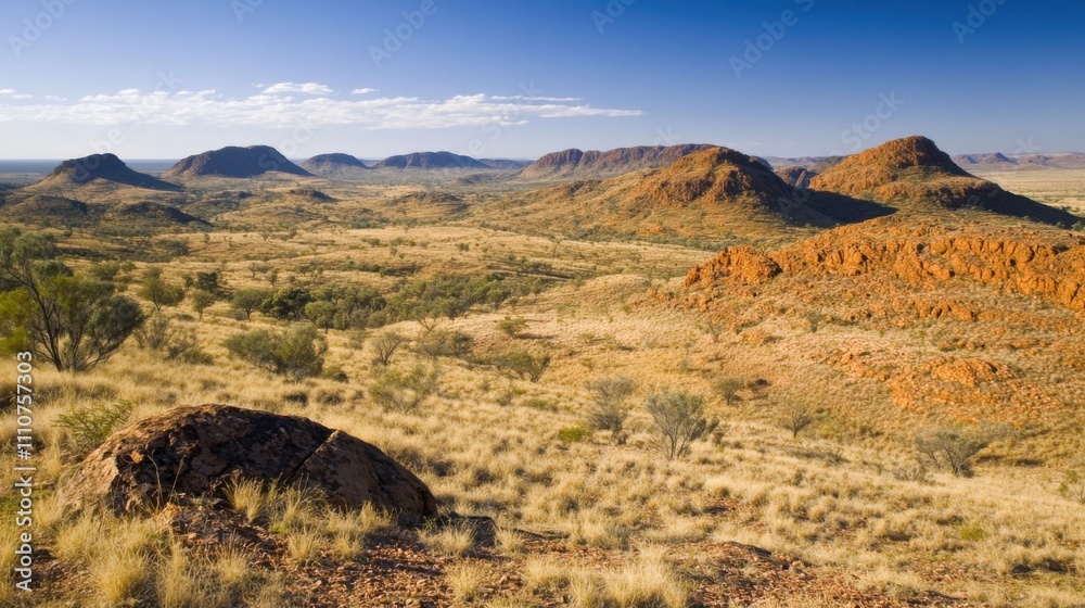 Expansive desert landscape with rocky outcrops and distant mountains ...