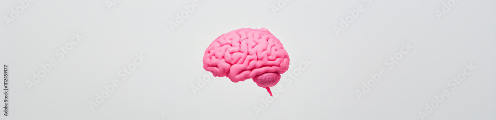 Human brain pink color on white background, anatomy and biology ...