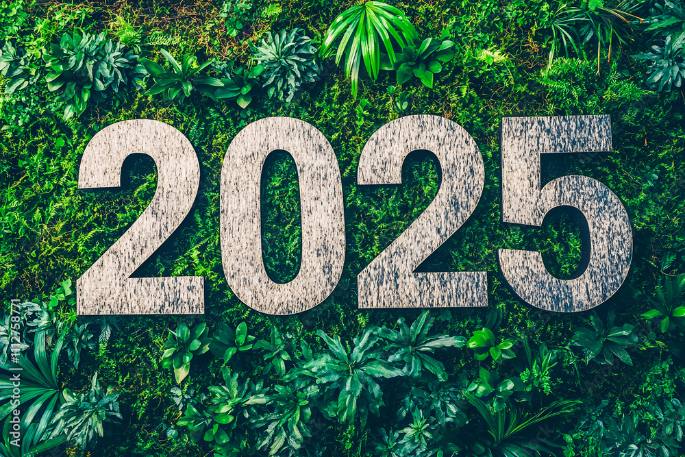 2025 New Year Concept: Sustainable Development Goals, Net Zero, Carbon ...