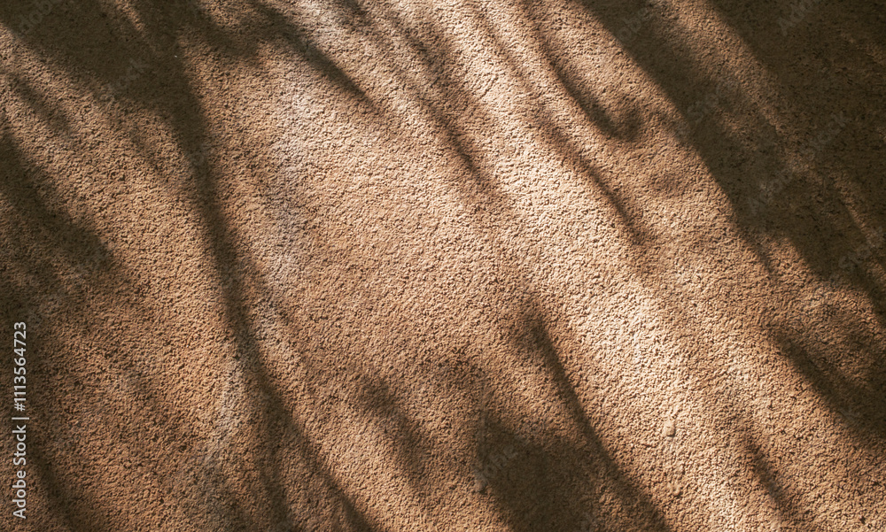 Empty wall background with sunlight superimposed shadow leaves on the ...