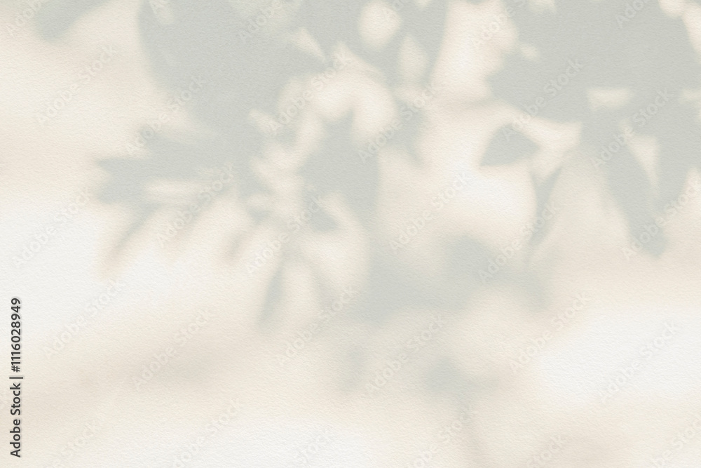 Leaf shadow and light on wall background. Nature tropical leaves tree ...