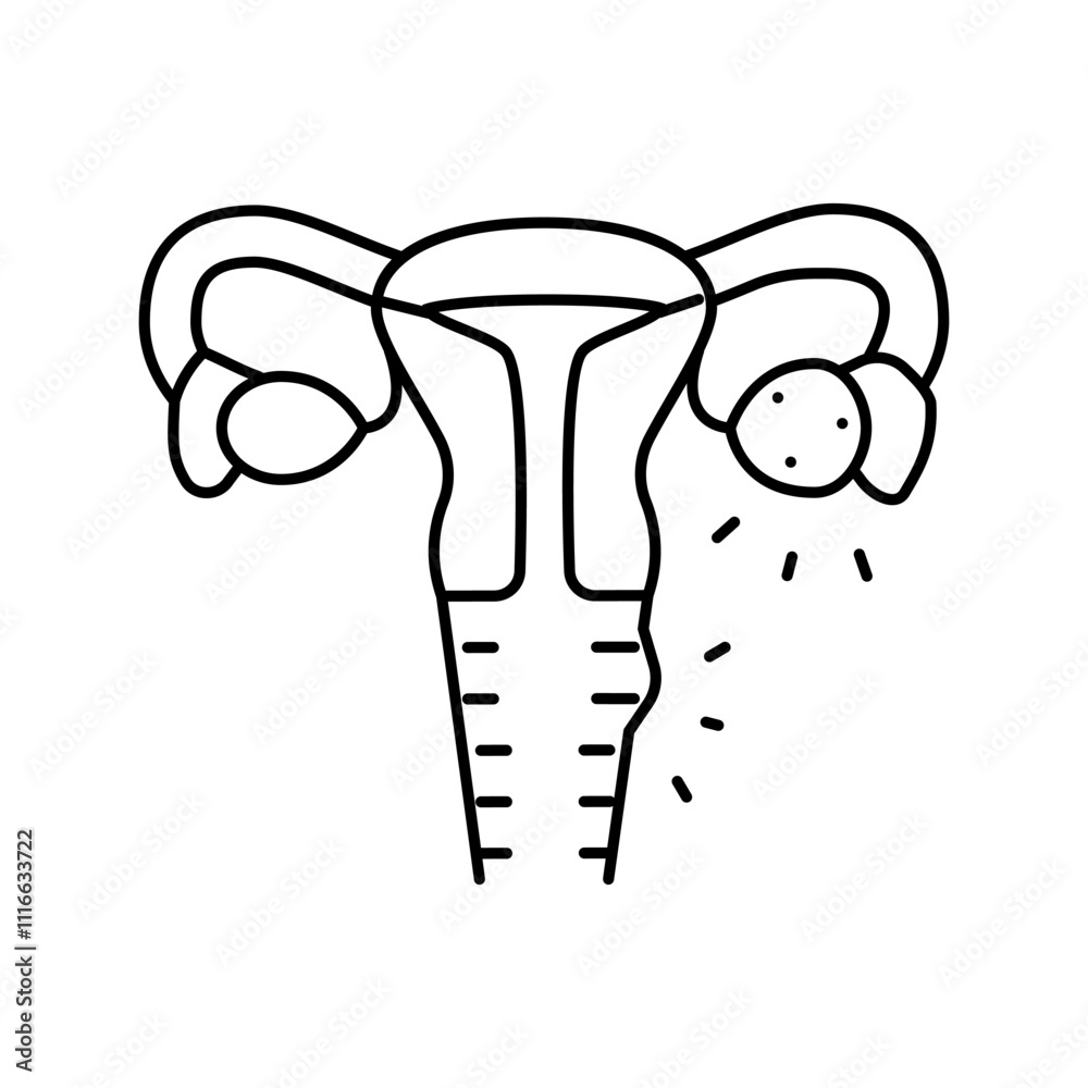 pelvic inflammatory woman disease line icon vector. pelvic inflammatory ...