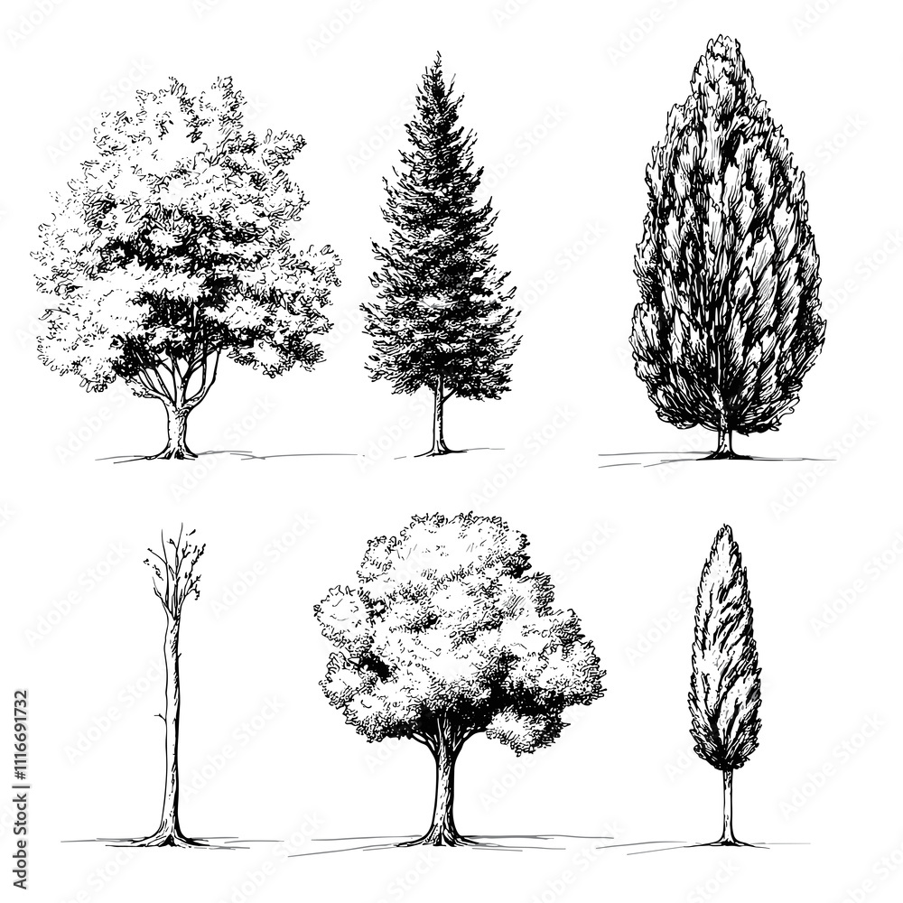 Architectural Drawings, Minimal style cad tree line drawing, Side view, set of graphics trees ...