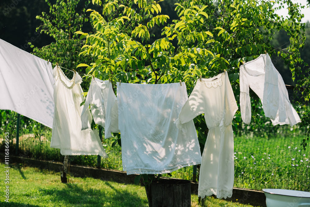 Clean white clothes on a washing line in a backyard Stock Photo | Adobe ...