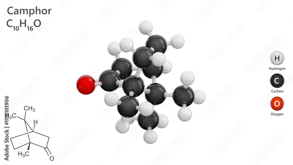 Molecule: Camphor. Anti-infective agent. Molecular structure. Formula ...