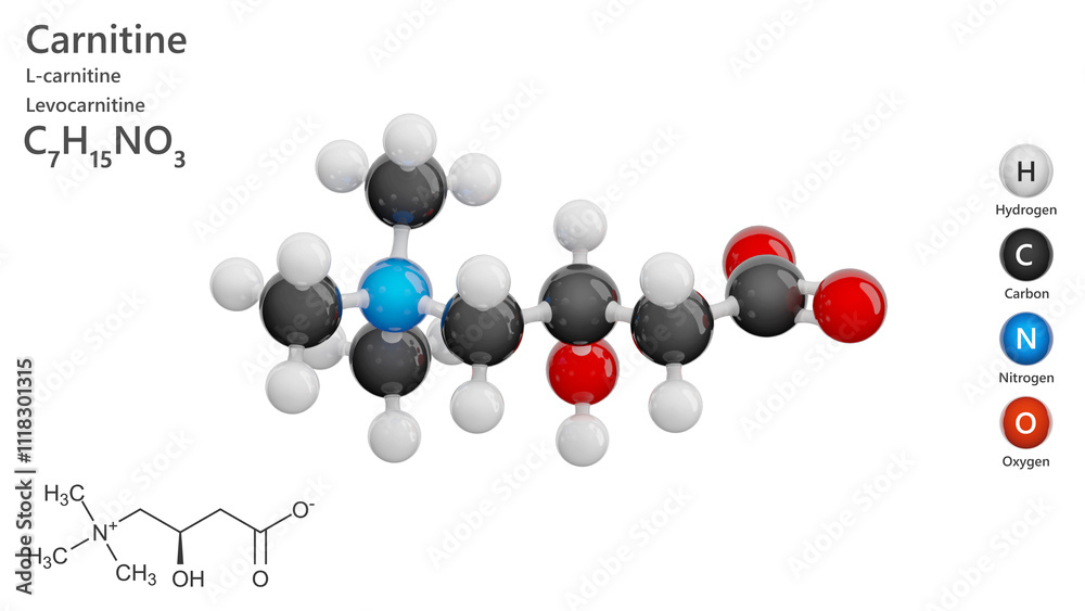 Molecule: Carnitine. Dietary supplement. Molecular structure. Formula ...