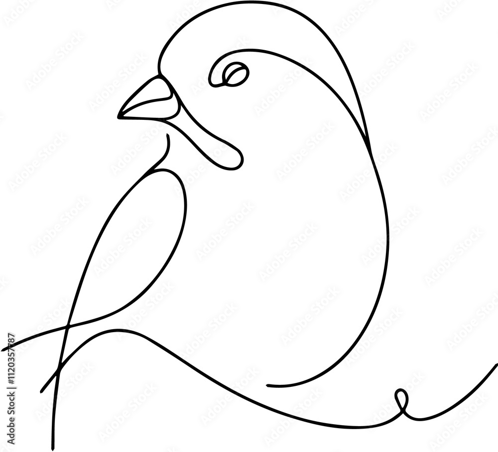 Line drawing of bird with a long tail is sitting on a branch. The ...
