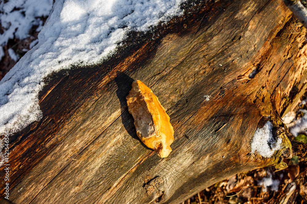 Flint spearhead lying on a tree, primitive weapon of the Stone Age ...