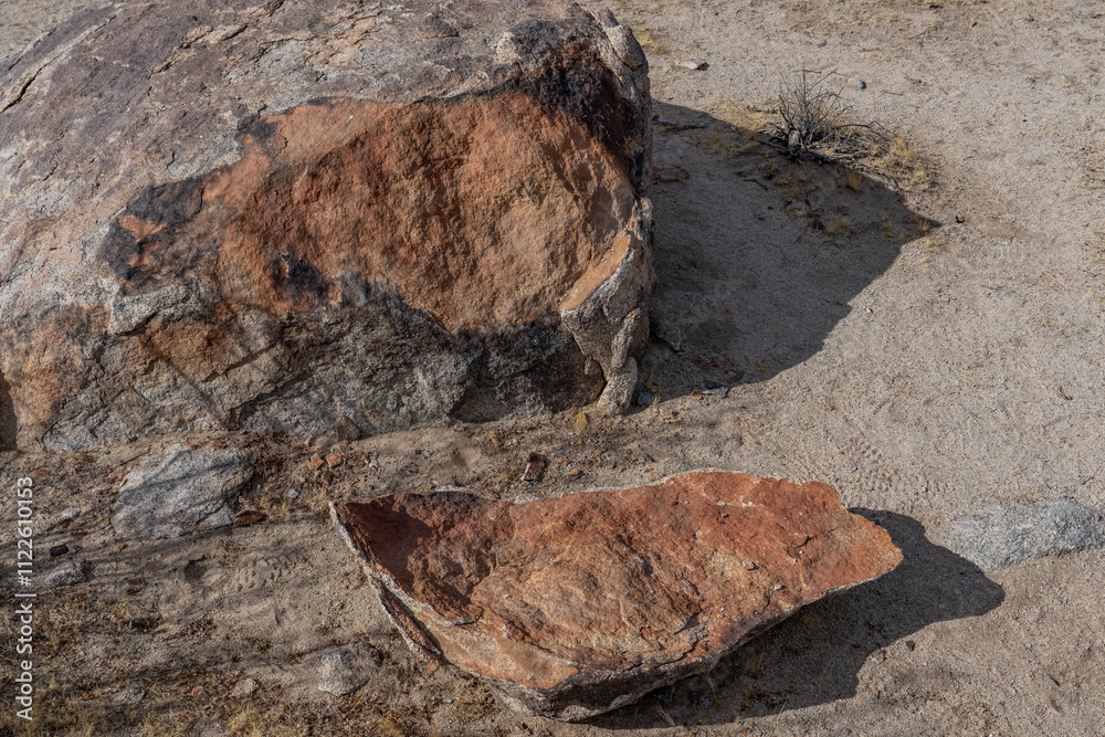 Colorado Desert section of the Sonoran Desert. Pinto Basin Rd, Joshua ...