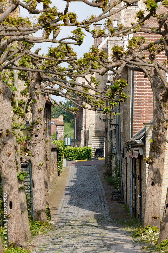 Quaint cobblestone alleyway lined with old brick buildings and leafy ...