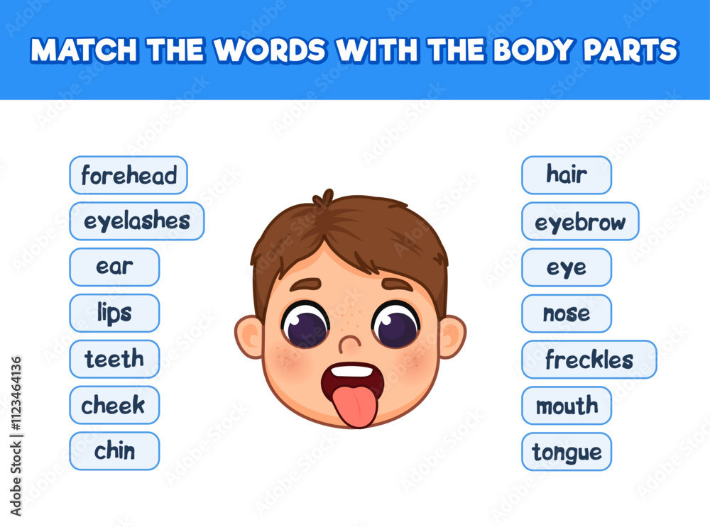 Match the words with the body parts. Anatomy of the boy's head. Parts ...