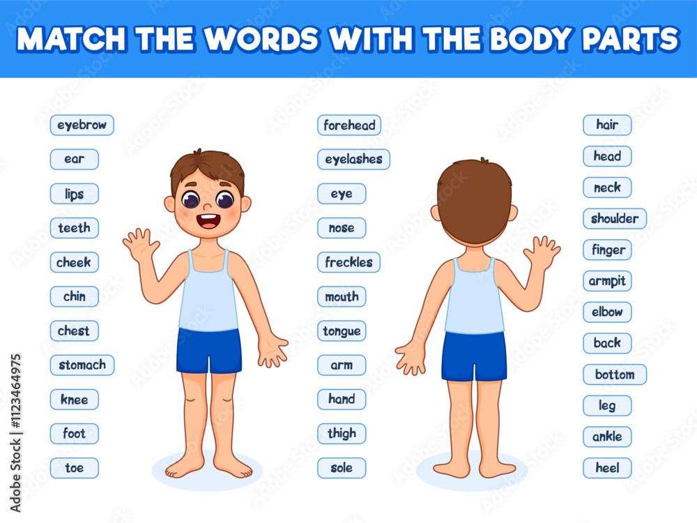 Match the words with the body parts. Anatomy poster with body parts ...