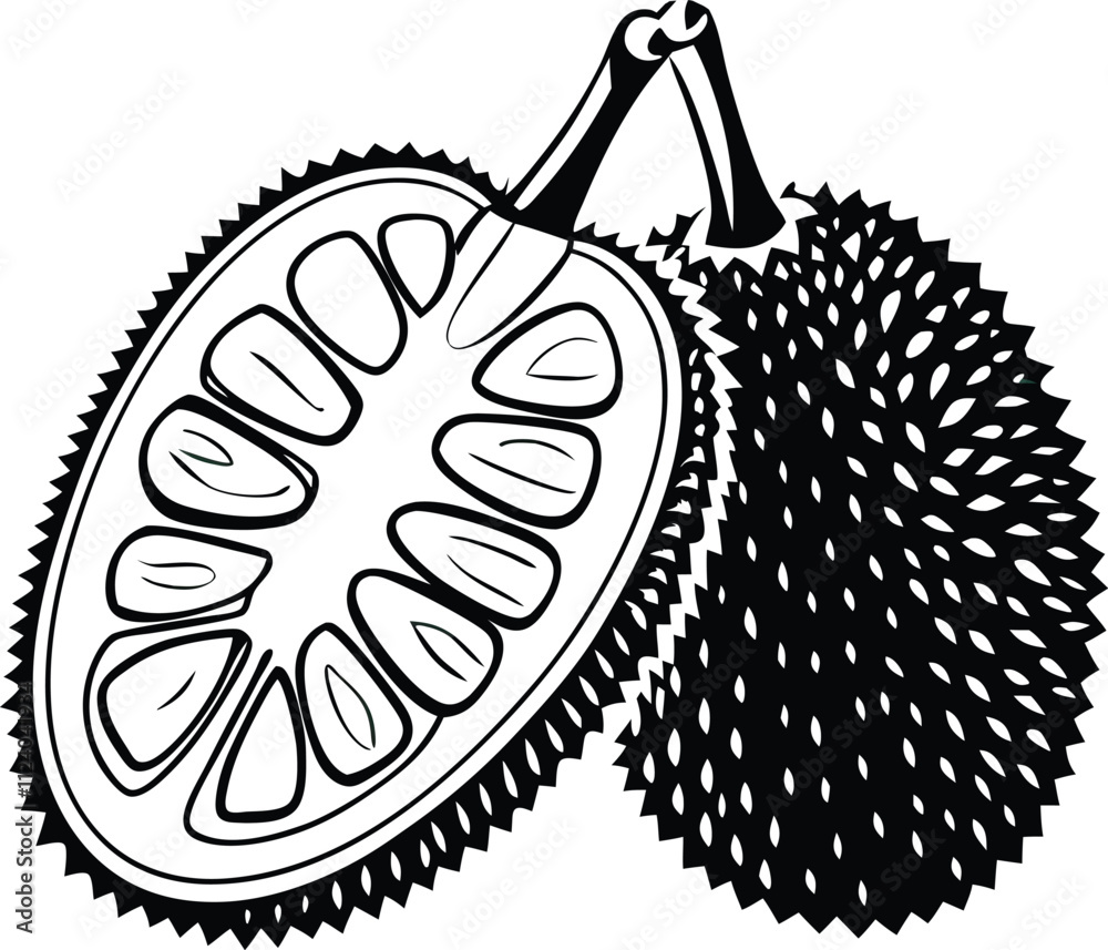 Vector de Stock Line art Illustration resembling Jackfruit silhouette ...