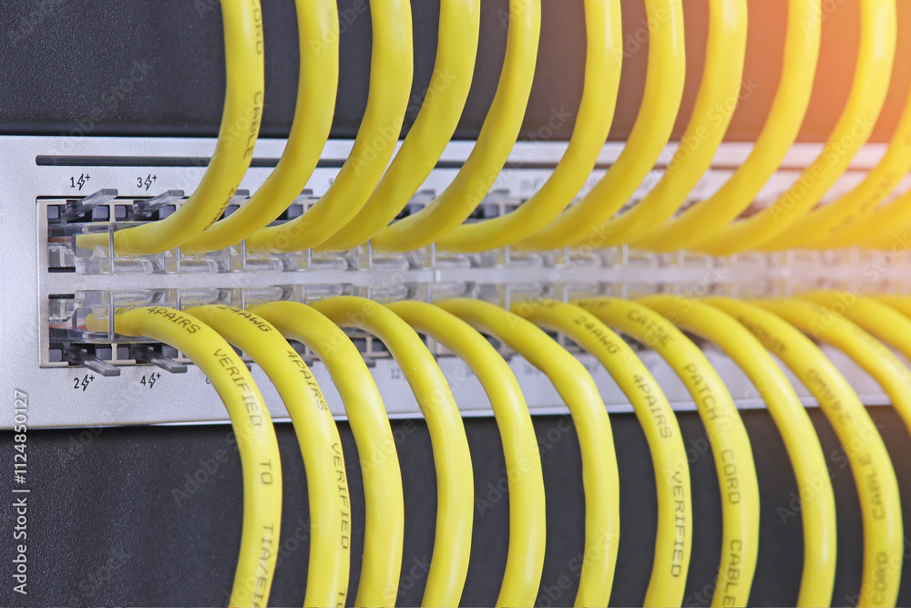 Rj45 connector for connecting a twisted pair cable. Data transmission ...