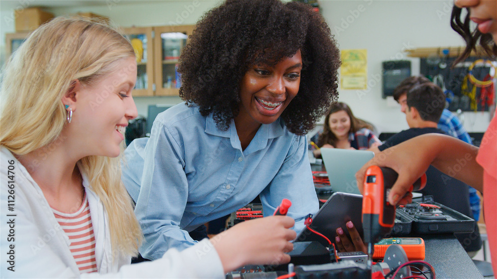 High School College Or University Teacher With Female Pupils Make ...