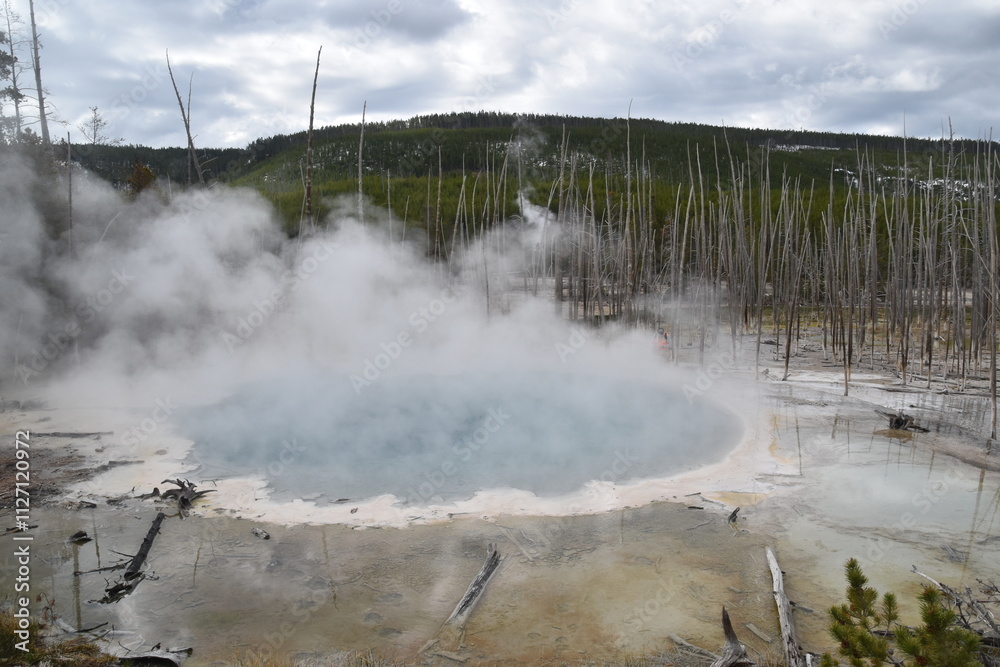 Geothermal volcanic activity around the hot springs and geysers of ...