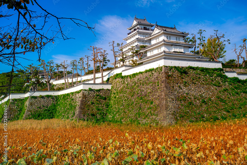 Shimabara Castle, also known as Moritake Castle and Takaki Castle ...