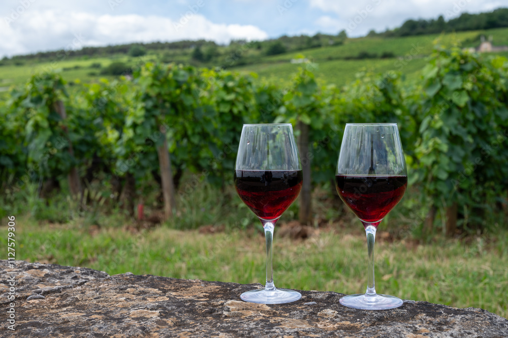 Tasting of red pinot noir wine on grand cru vineyards with cross and ...